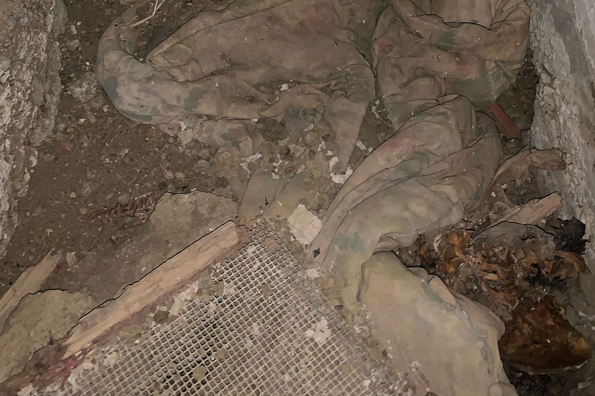 What happened to the human skeleton found at UC Berkeley?